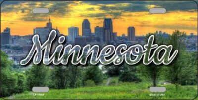 Custom Novelty License Plate Car Tag With Minnesota View | eBay