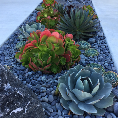 Natural Blue Decorative Landscaping Garden & Aquarium River Pebble ...