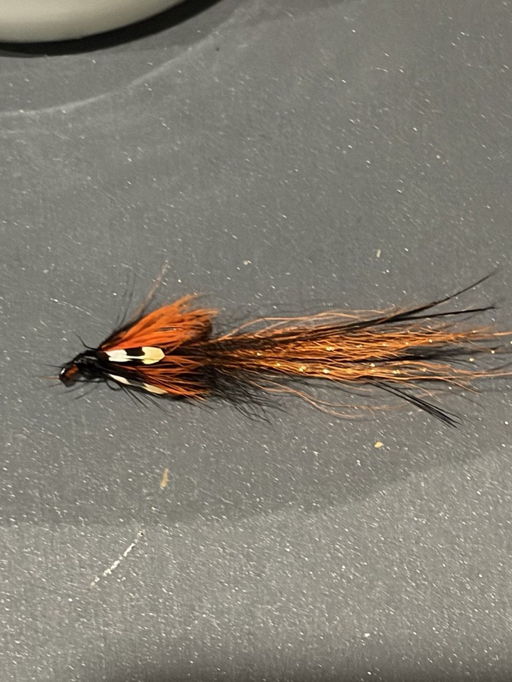 Salmon fishing fly | eBay UK