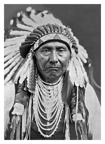 CHIEF JOSEPH NATIVE AMERICAN LEADER 4X6 B&W PHOTO | eBay