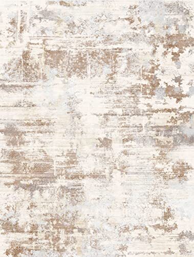 Area Rug Living Room Rugs: 3x5 Indoor Soft Fluffy Rug Abstract 3'x5 ...