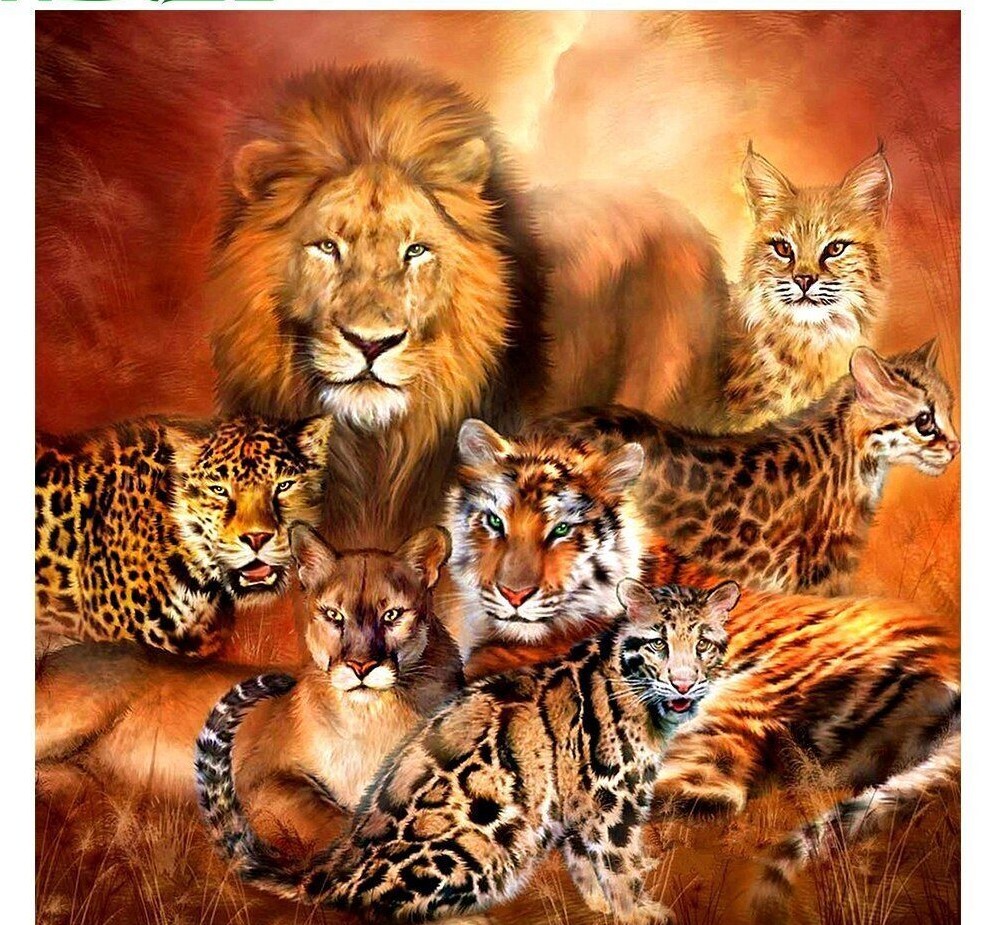 Leopard Vs Tiger Vs Lion