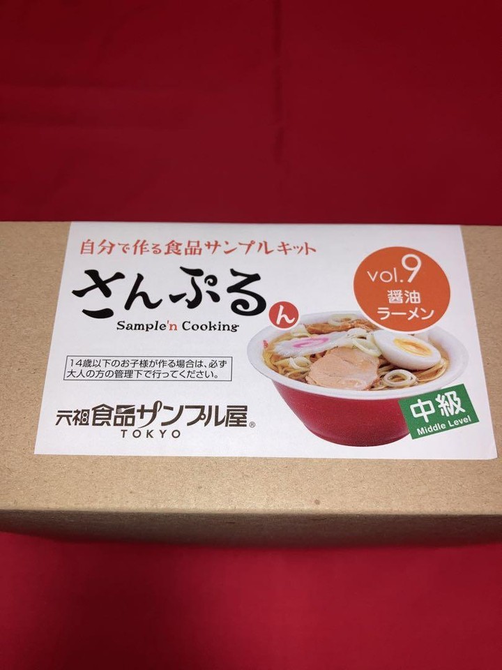 Fake Food Sample Making Kit Samplen Shoyu Ramen Noodle DIY Soy Sauce ...