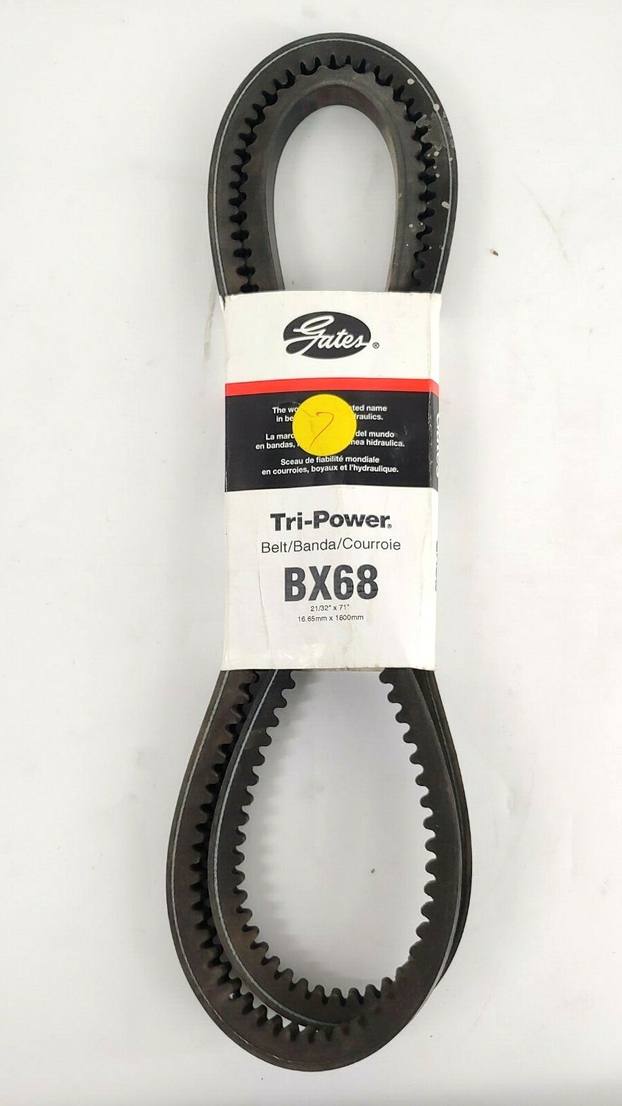 Gates Tri-Power BX68 V-Belt 21/32" X 71" Banda Courroie Cogged Rubber ...