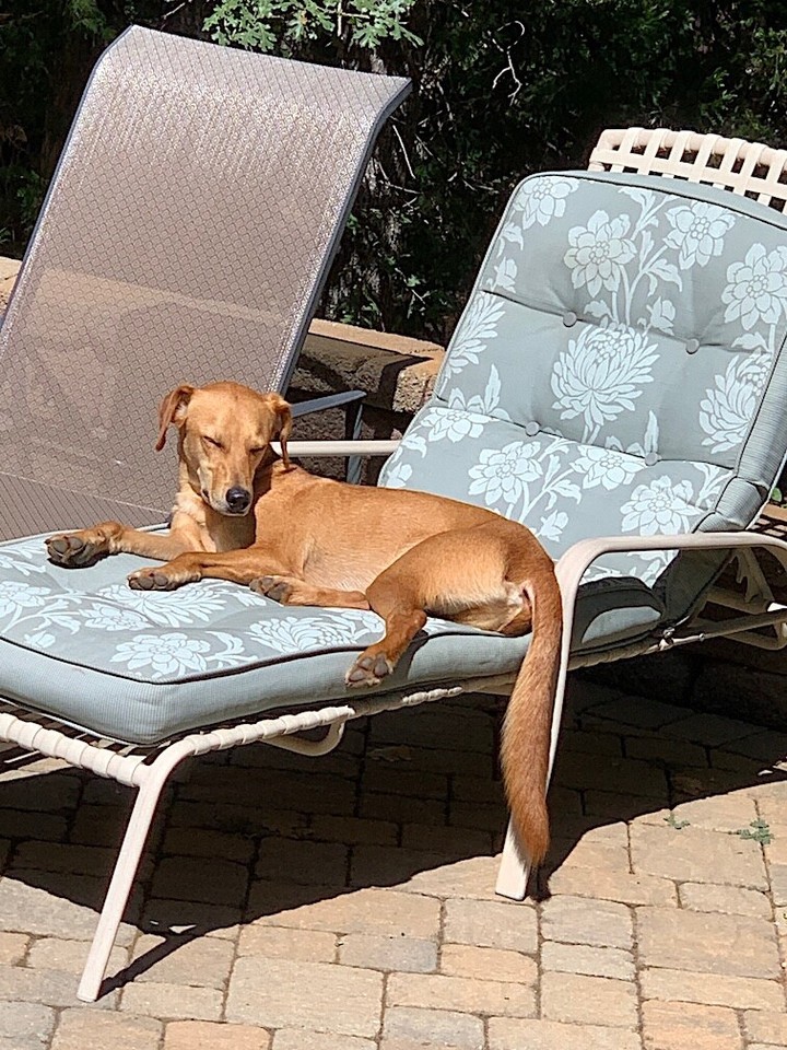 Roberts 770X tube reel to reel tape recorder parts Akai m-8 7 990 770 ...