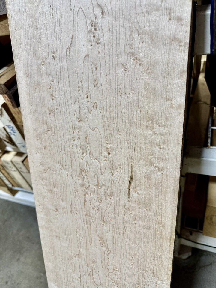 LARGE Birdseye White Maple 5/4🍁Paper White lumber board kiln dry 47”x10 ...