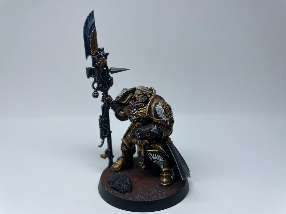 Warhammer 40k Adeptus Custodes Shield Captain Pro Painted | eBay