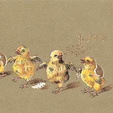 Postcard Catch | eBay Stores