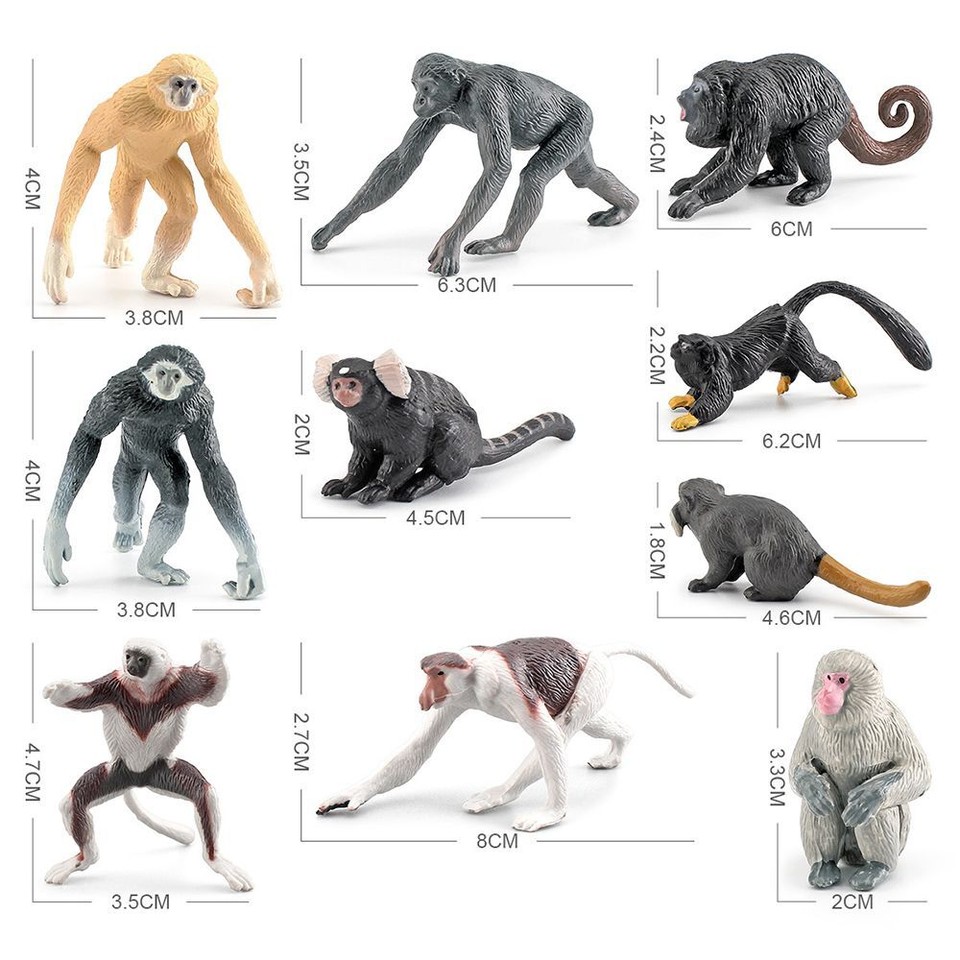 Marmoset Bonobo Simulation Primate Lifelike Monkey Model Orangutans ...