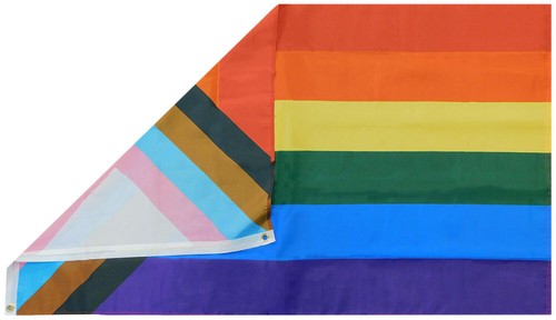 Progress Pride Large Flag 3x5FT Gay Lesbian LGBTQ Community Trans Color ...
