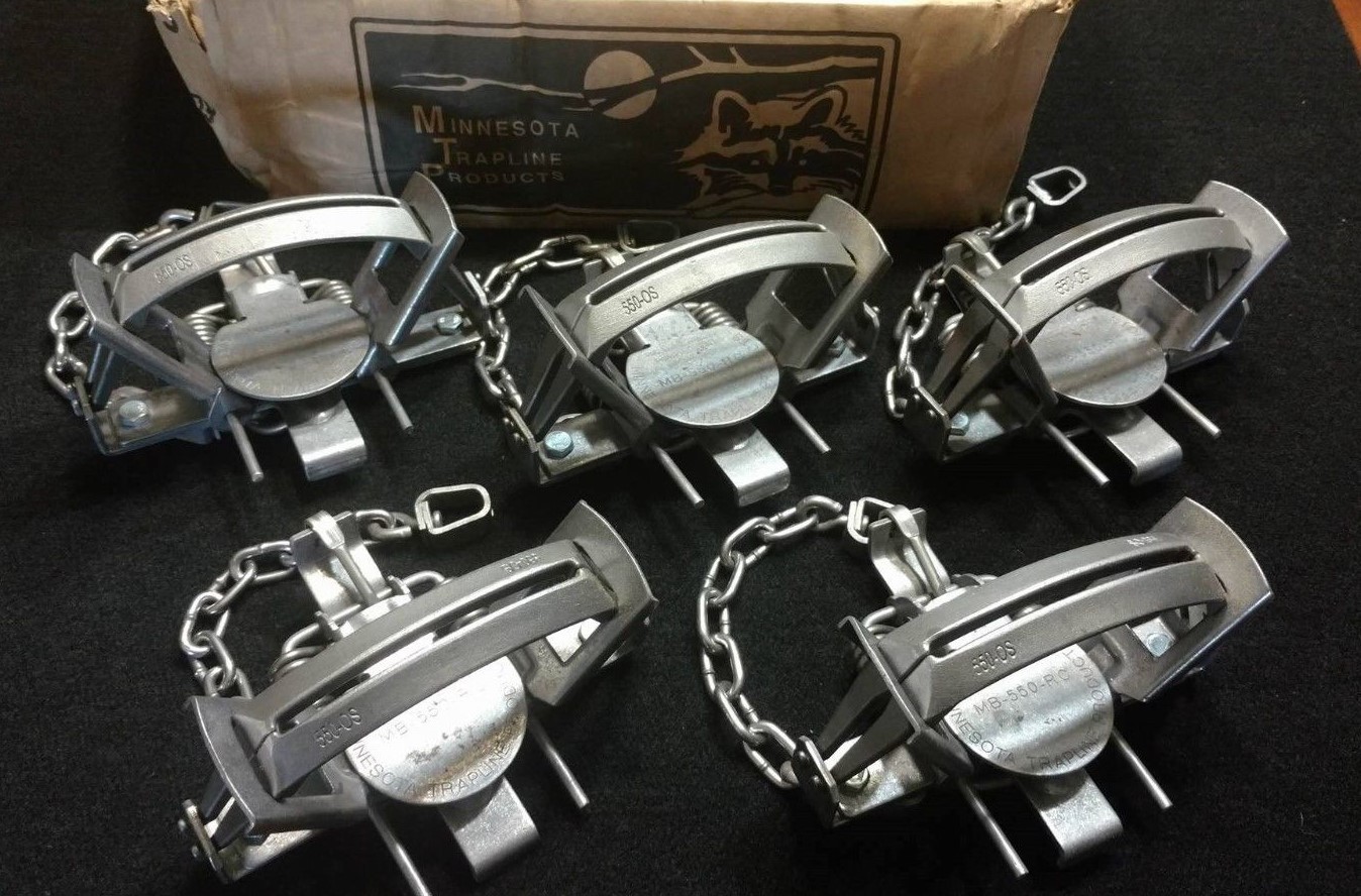 5 MB 550-RC TRAP OFFSET CAST JAW'S 2 COIL TRAPPING COYOTE BOBCAT FOX ...