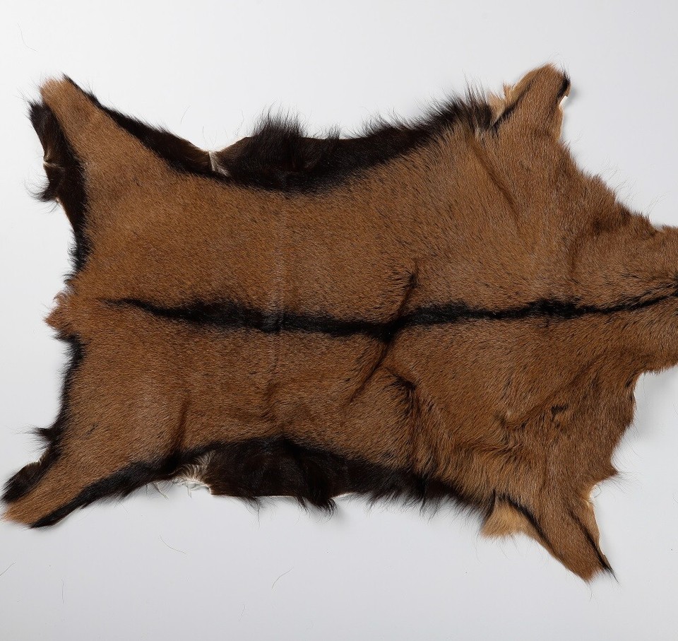 1pcs Real Goat Skin Fur Pelts Hide Goatskin Rug Leather Clothing ...