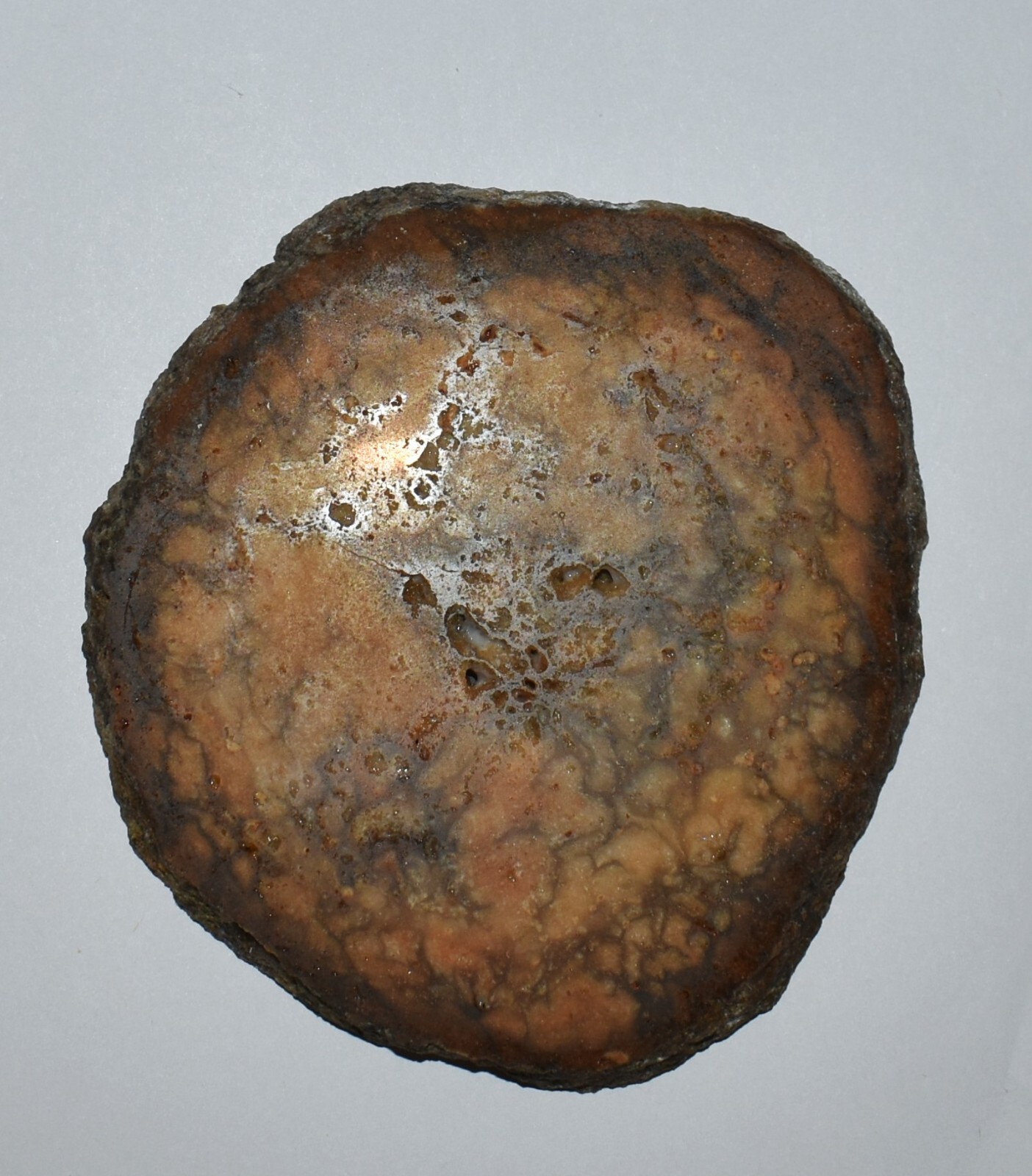 Brain Geode Slab Chalcedony with Drusy from North Carolina USA | eBay