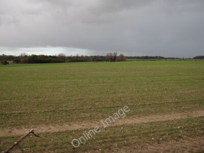 Photo 6x4 Winter cereal crop by the River Kennett Freckenham From ...