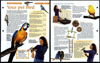 Your Pet Bird #1 Looking After Animals, Animals, Animals Fact File Page ...