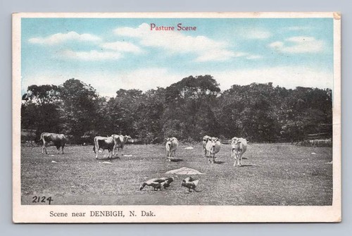 "Pasture Scene" DENBIGH North Dakota PC Cover Antique Generic Cow Farm ...