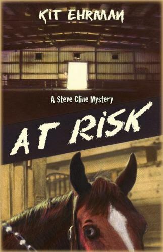 At Risk: A Steve Cline Mystery (Steve Cline Mysteries) paperback Used ...