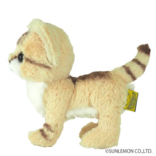 Sunlemon Kitten Sand Cat Beige White 14.8×1.4×15.8cm Stuffed Animal Cat P-7302 | eBay