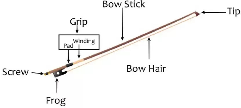 Violin Bow Parts Diagram