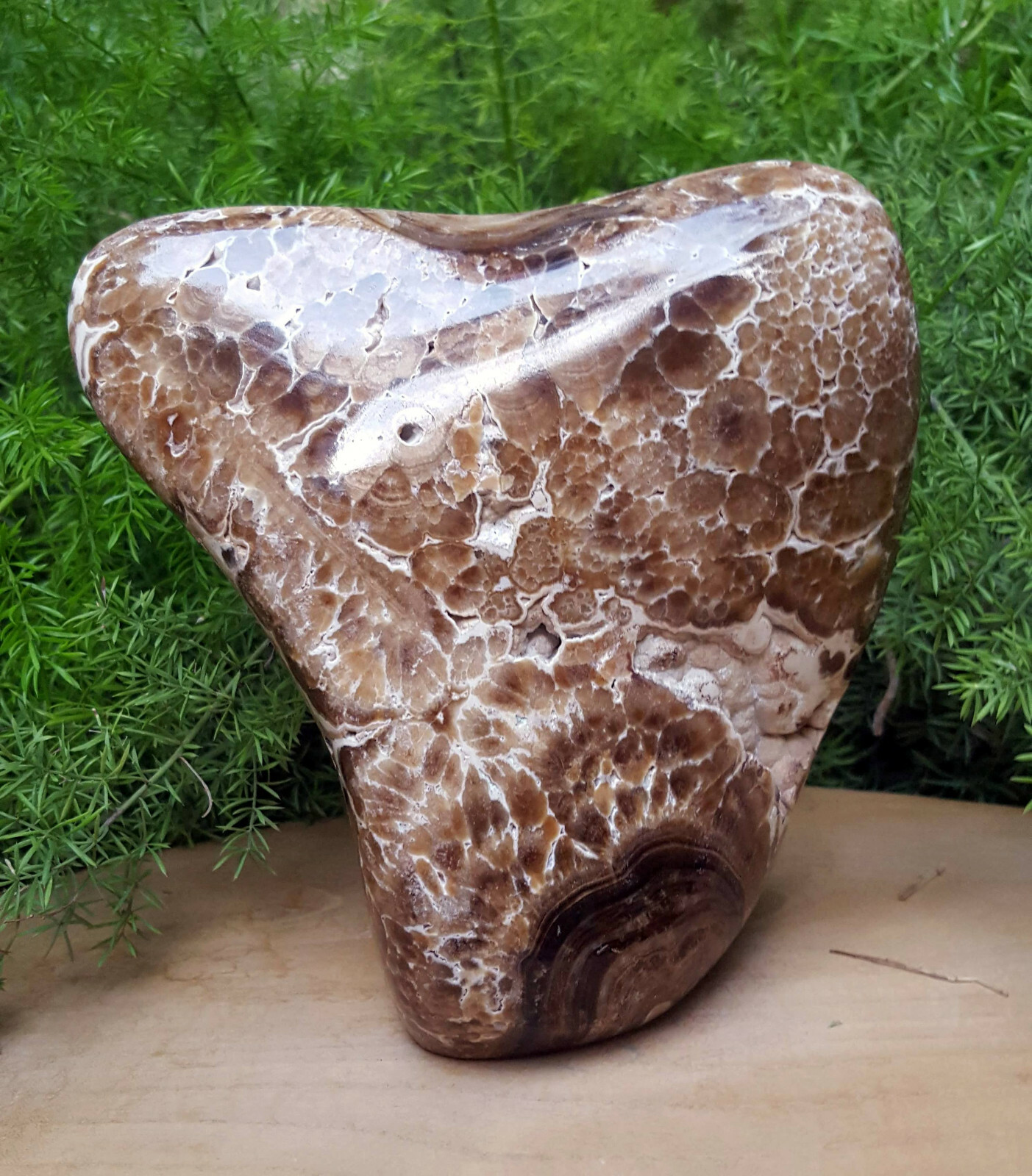 Natural Chocolate Calcite Polished Tumble/Freeform Healing Crystal ...