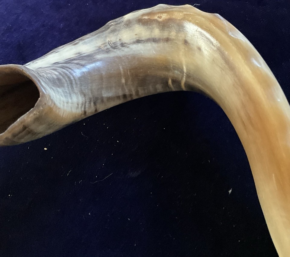 Vintage Jewish SHOFAR Horn Religious Instrument Estate Piece | eBay