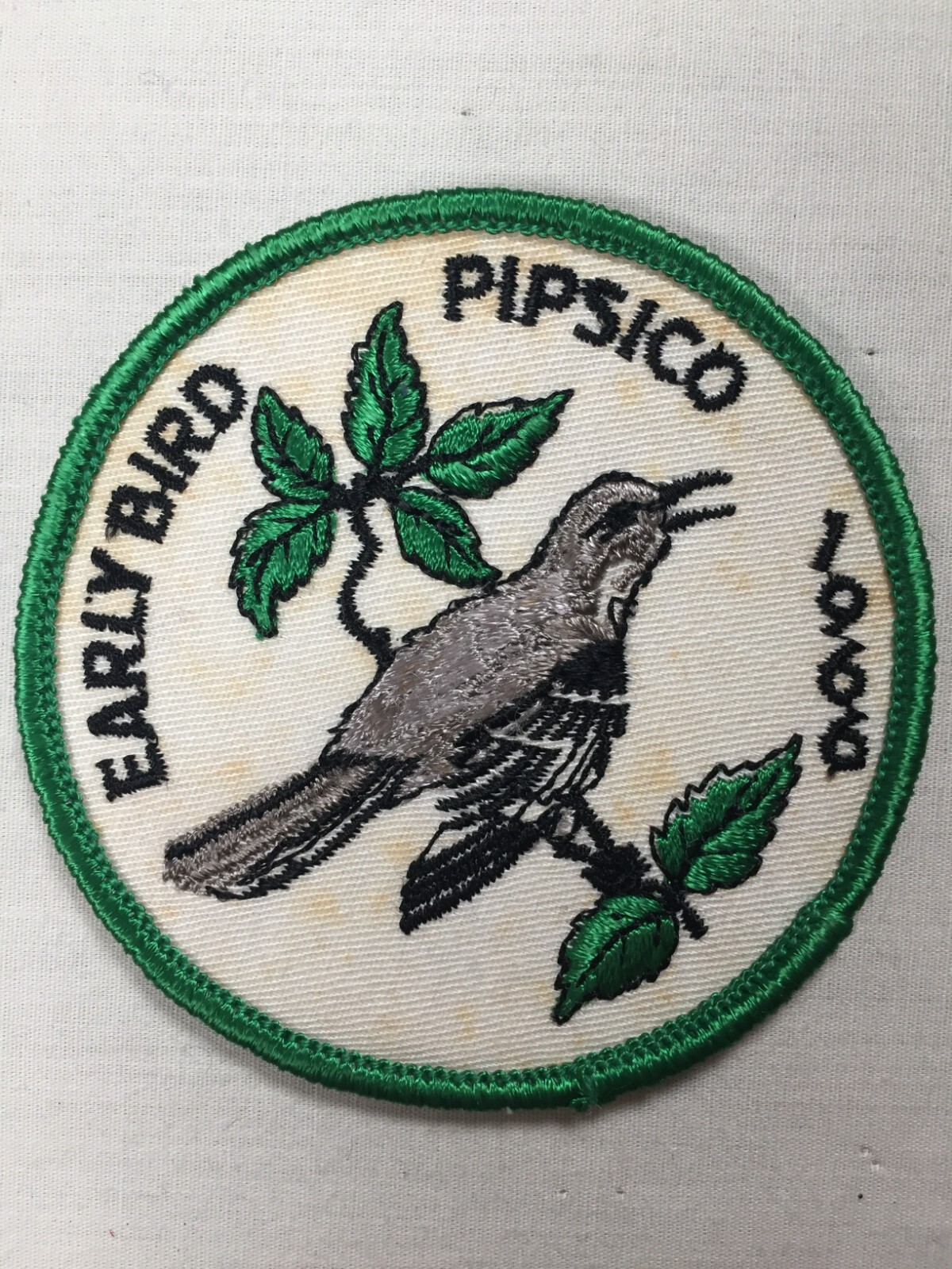 1966 Pipsico Scout Reservation Early Bird stained Boy Scout Camp Patch ...