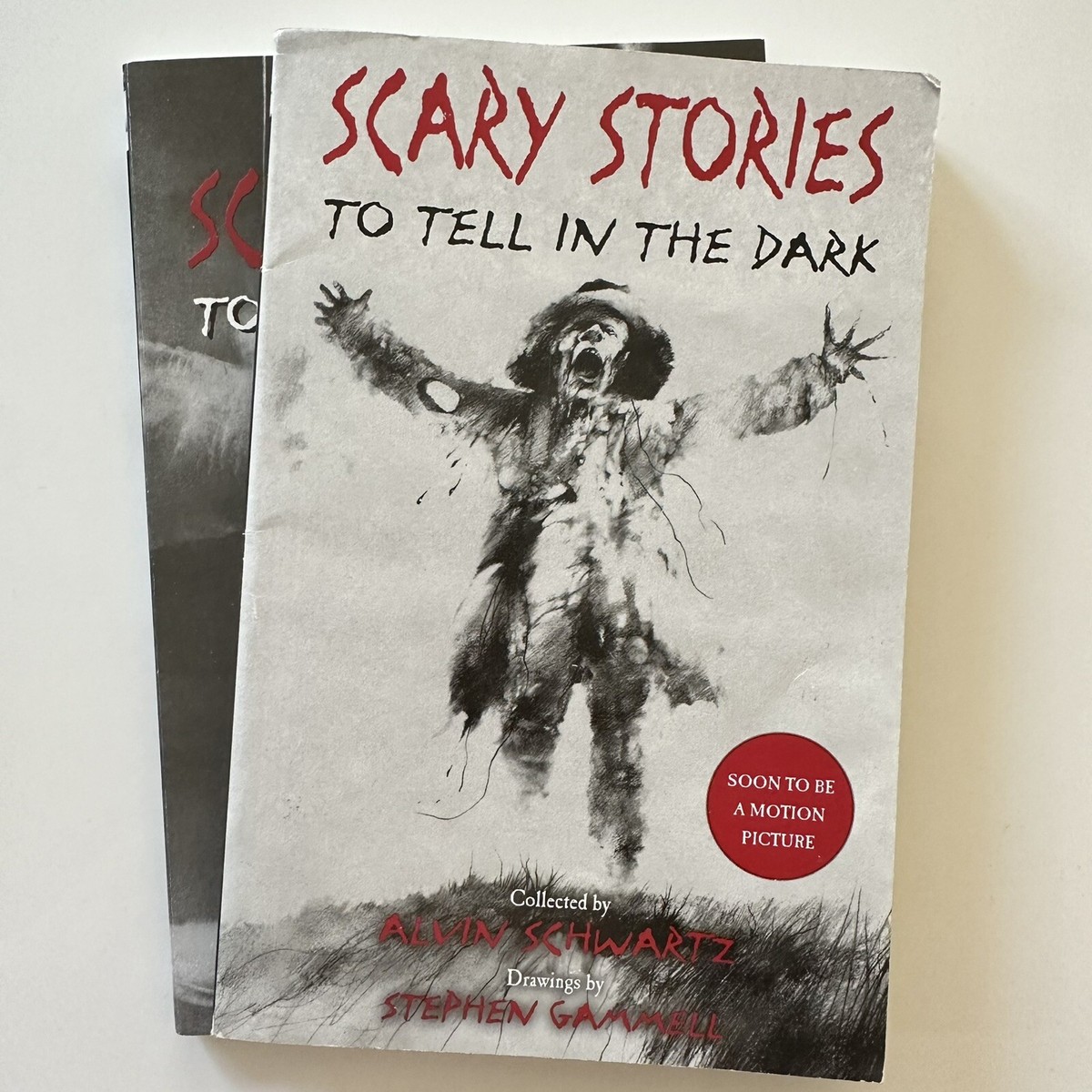 More Scary Stories To Tell In The Dark
