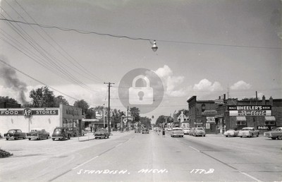 Street View Standish MI Michigan #4 RPPC Photo Postcard COPY | eBay