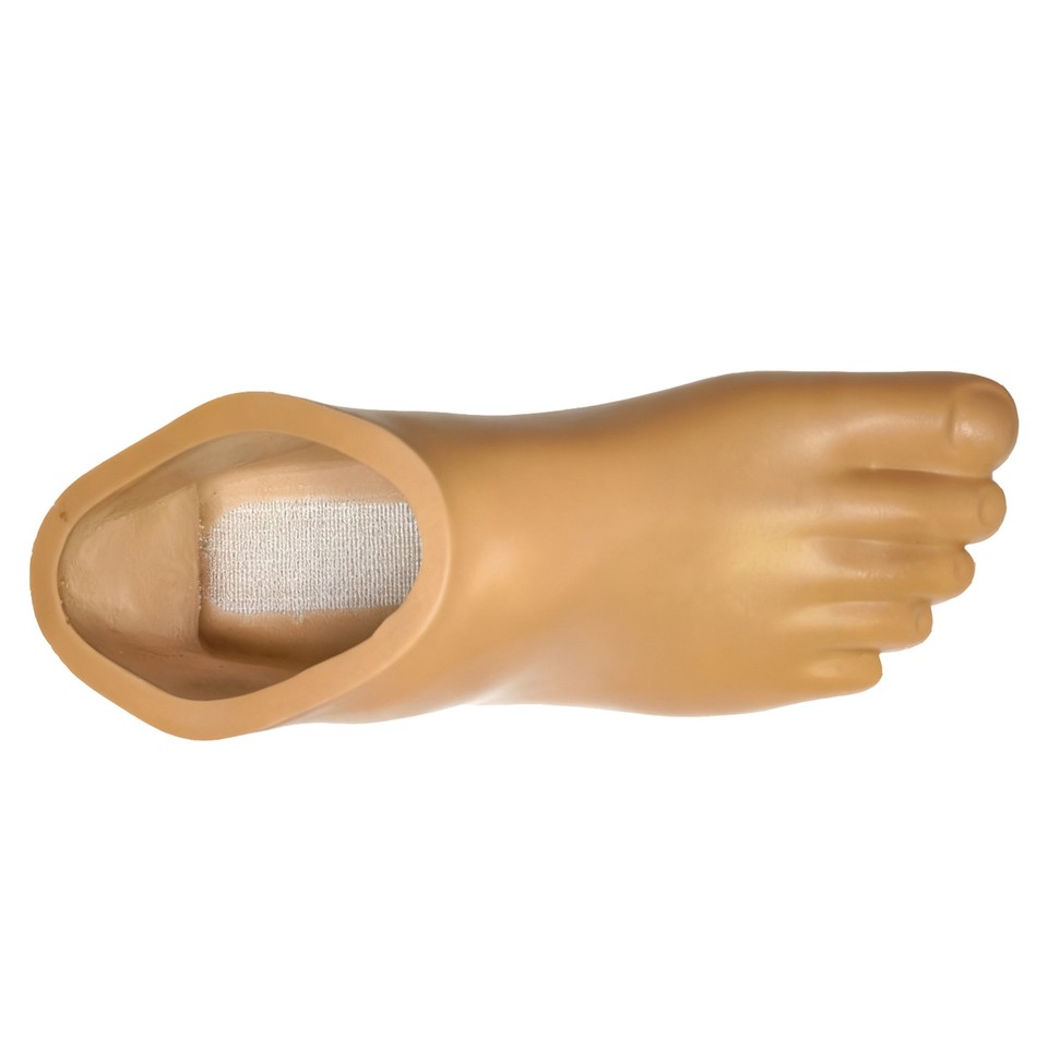 Foot shell foot cover fit for FREEDOM Carbon fiber prosthetic foot size ...