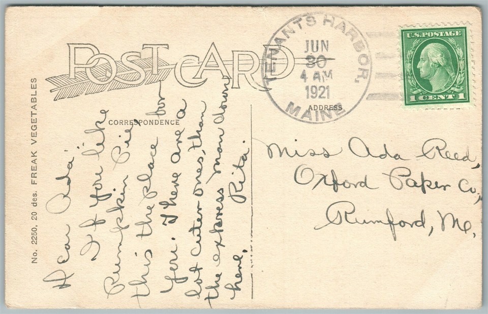 EXAGGERATED 1921 ANTIQUE POSTCARD PUMPKINS | eBay