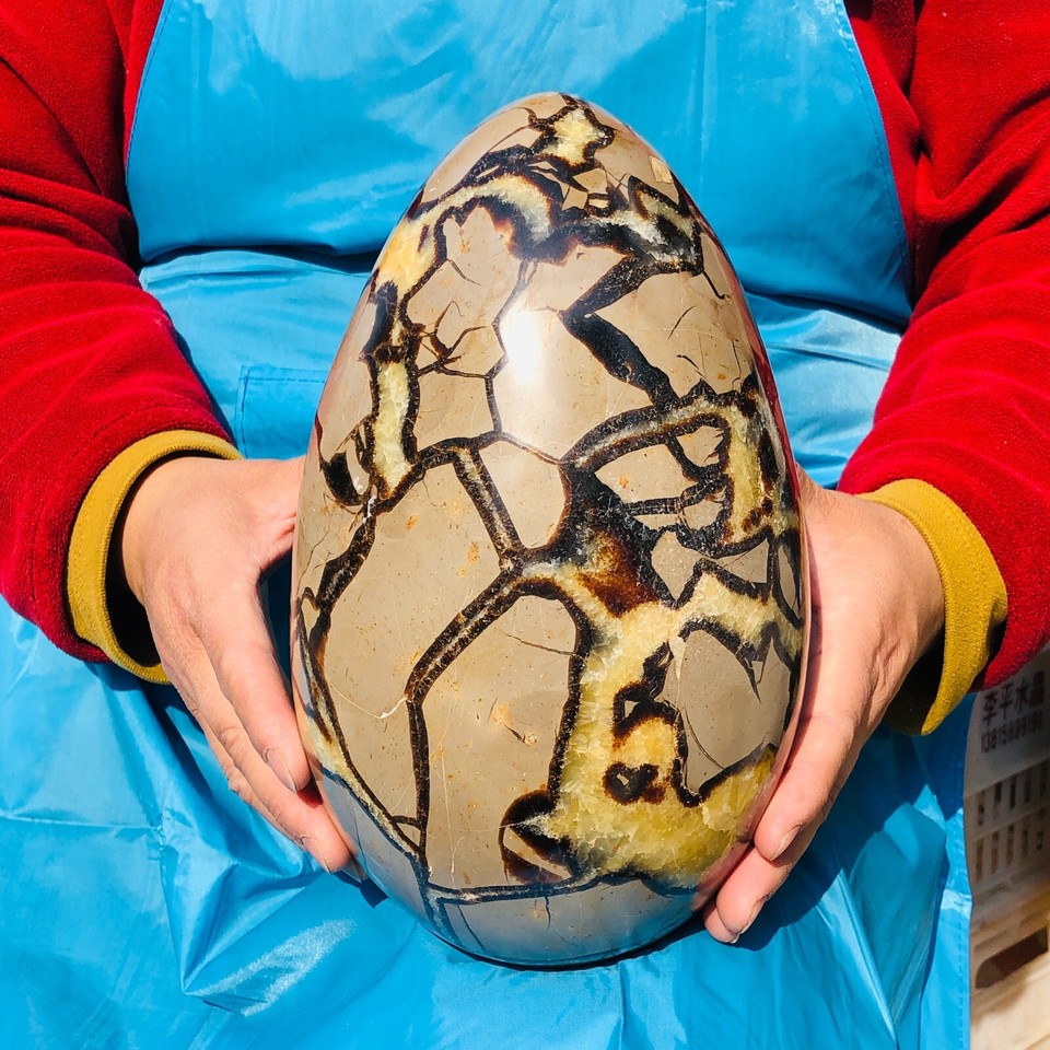 15.64LB Top Natural Dragon Septarian Crystal Geode Quartz Egg Mineral ...