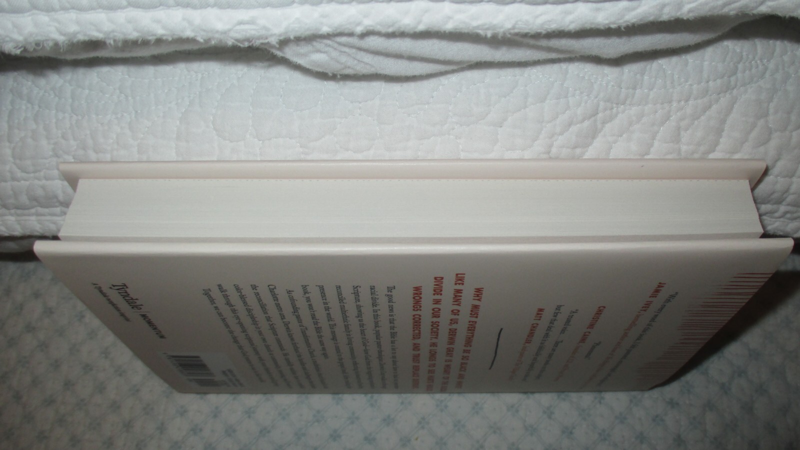 How to Heal Our Racial Divide : What the Bible Says, and the First ...