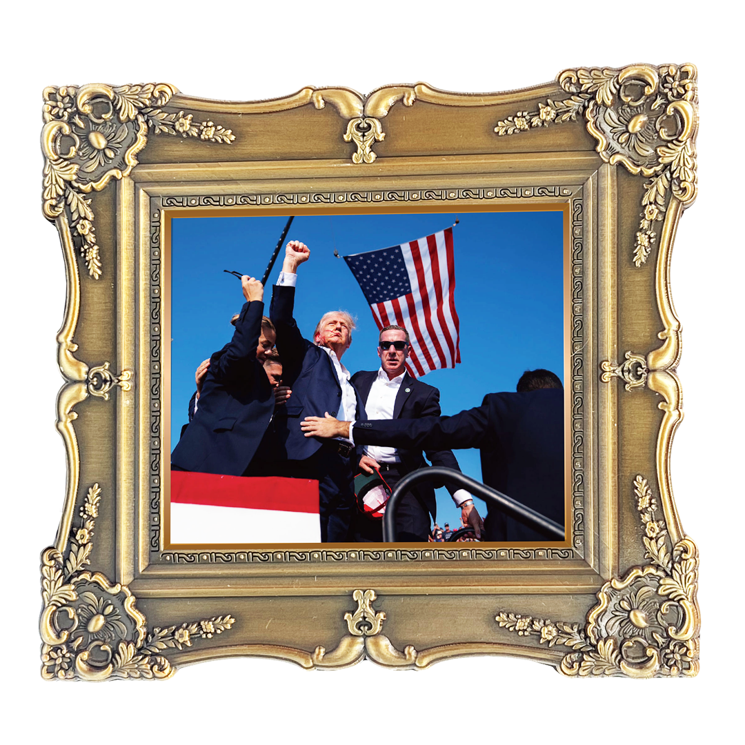 DD-021 President Donald J. Trump Fight Fight Fight Frame Artwork ...