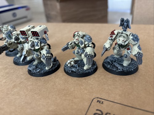 5 Deathwing Terminators Squad Dark Angels Adeptus Astartes 40k 30k Well ...
