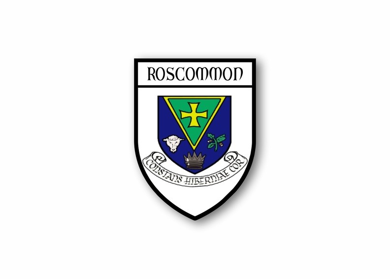 Sticker county shield car vinyl souvenir decal flag caravan crest ...