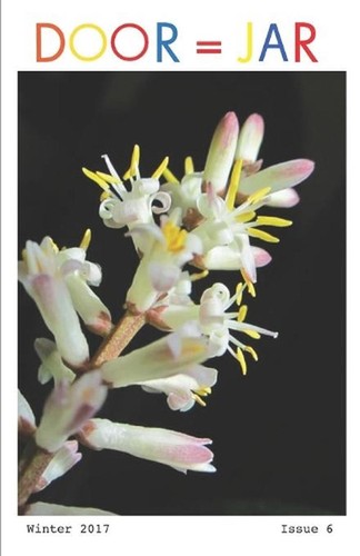 Door = Jar: Door Is A Jar Issue 6 Winter 2017 by Door Is A. Jar LLC ...