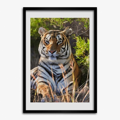 Photo 70x100cm Décor MDF Le salon Cadre tigre | eBay