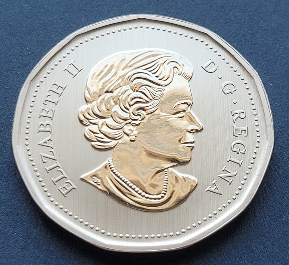 CANADA LOONIE 2016 *** SPECIMEN *** TUNDRA SWAN *** LOW MINTAGE *** | eBay