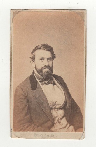 Louis Wigfall Carte de visite Confederate General, U.S. Senator from ...