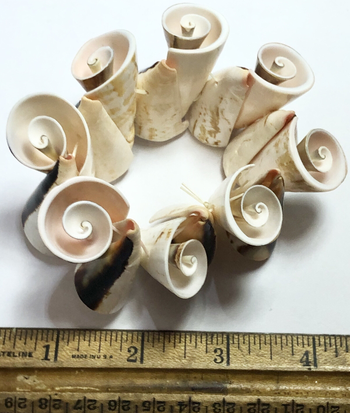 Stretch seashell shell vintage bracelet - Gem