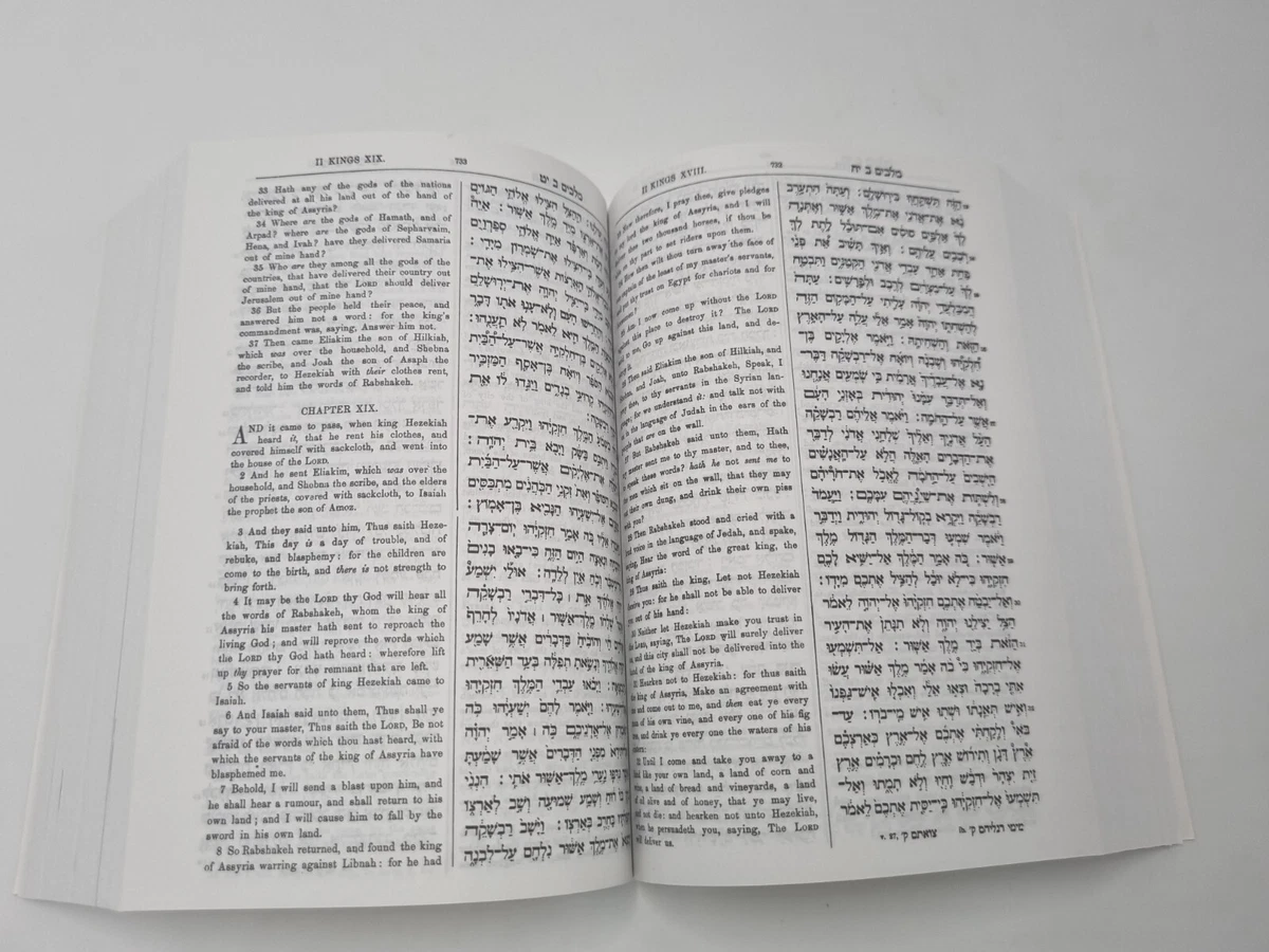 Torah Hebrew