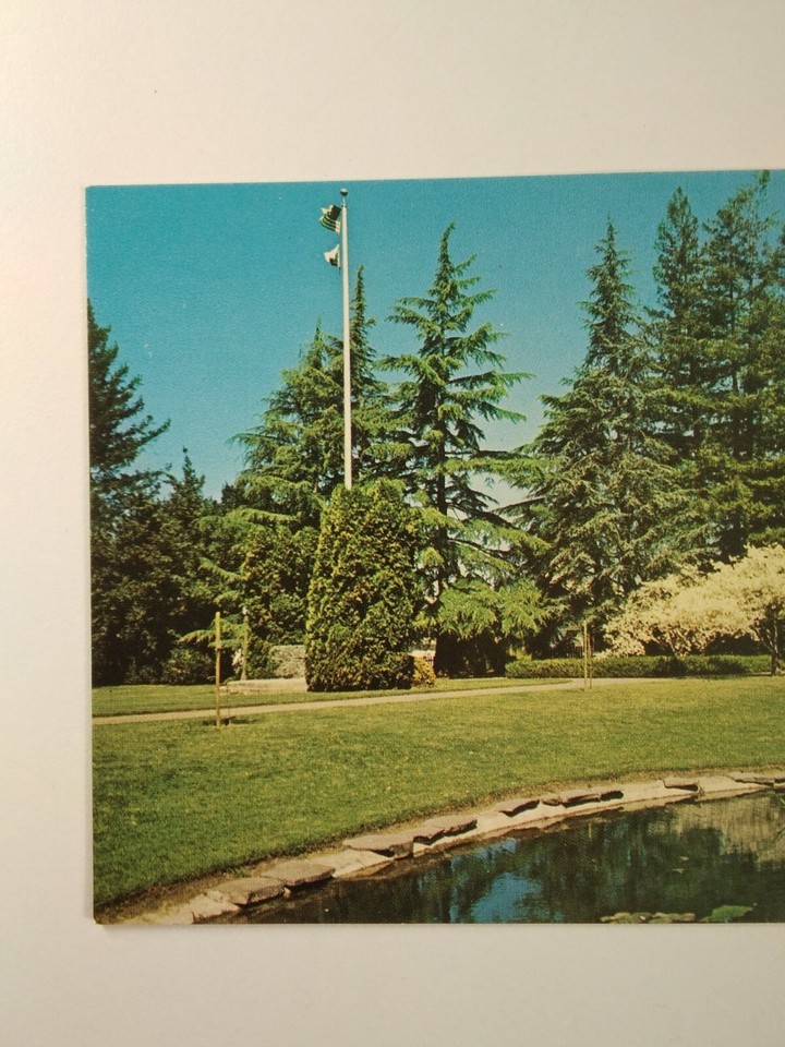 California Postcard Mid 1900s Original Rare Santa Rosa Juilliard Park ...