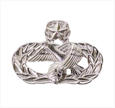 GENUINE U.S. AIR FORCE BADGE: TRANSPORTATION: MASTER - MIDSIZE | eBay