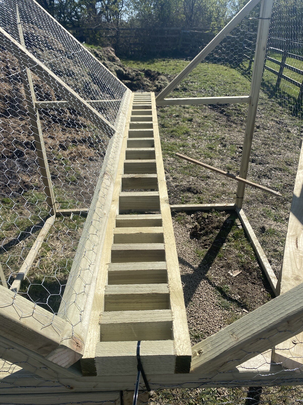 ladder trap | eBay UK