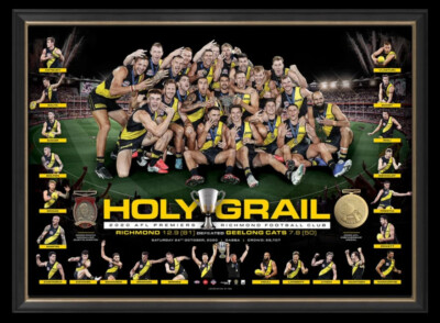RICHMOND TIGERS 2020 AFL PREMIERSHIP PREMIERS HOLY GRAIL FRAMED ...