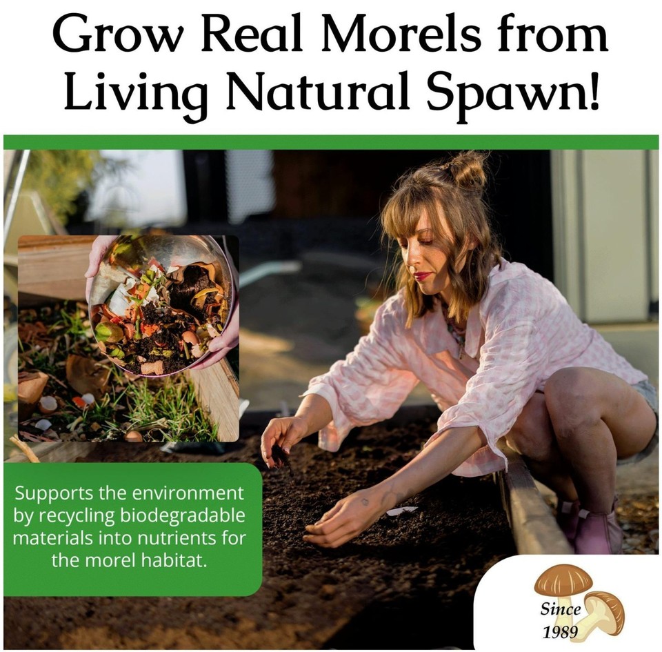 FIRST Backyard Morel Mushrooms Grow Kit - Morel Habitat Kit ® | eBay