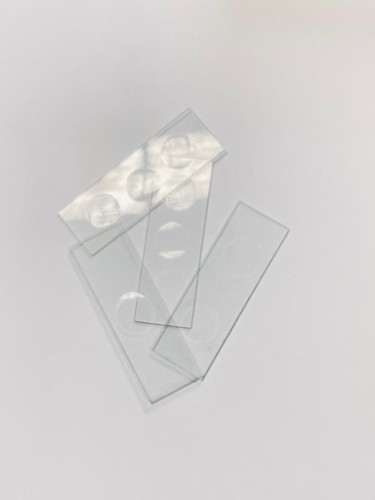Concave Cavity Slide -Glass- Microscope Slides- Triple Concave Cavity X ...
