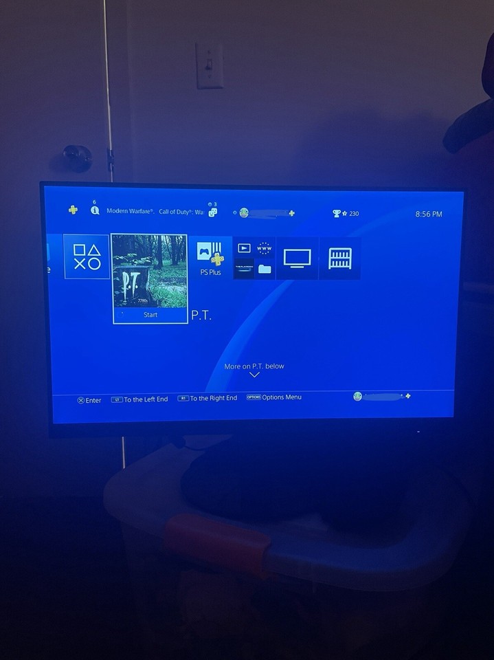 Ps4 With PT Demo Installed (500 GB) | eBay