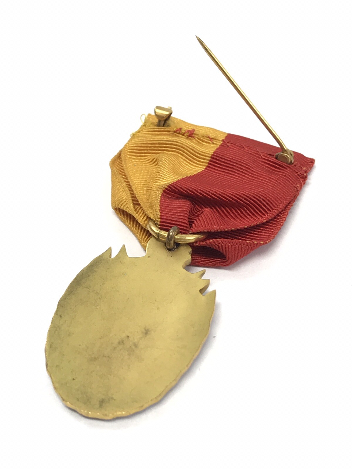 Vintage National Society of Magna Charta Dames Insignia Medal, Lion ...