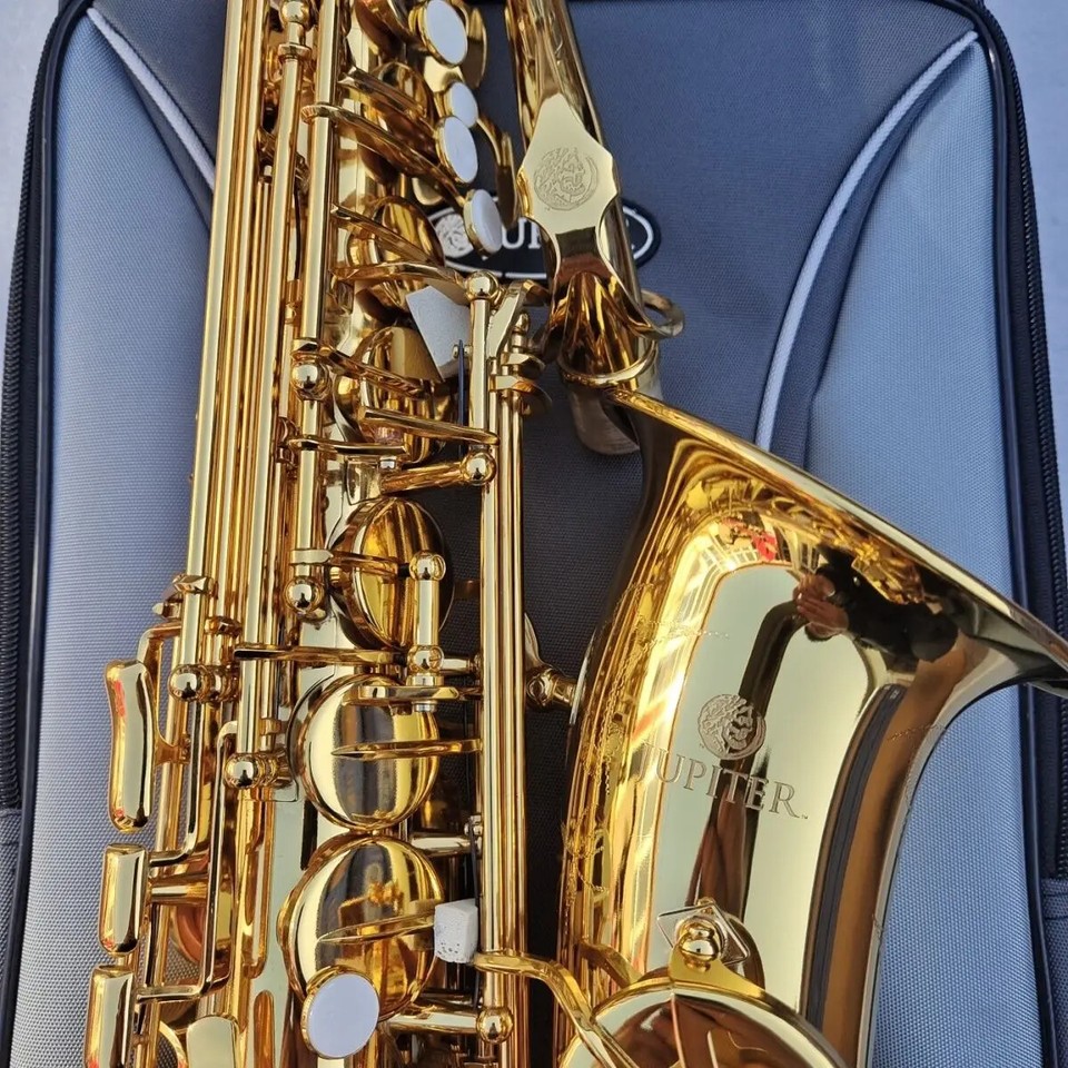 New JAS669 New Alto Eb Tune Saxophone Instrument Lacquered Gold Sax ...